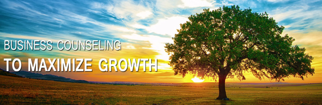 maximize-growth - Business Counselor